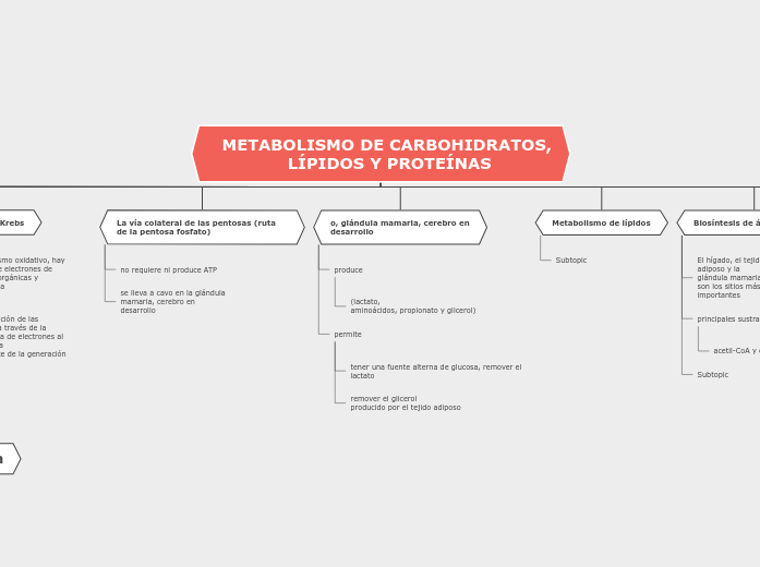 METABOLISMO DE CARBOHIDRATOS, LÍPIDOS Y PR...- Mind Map